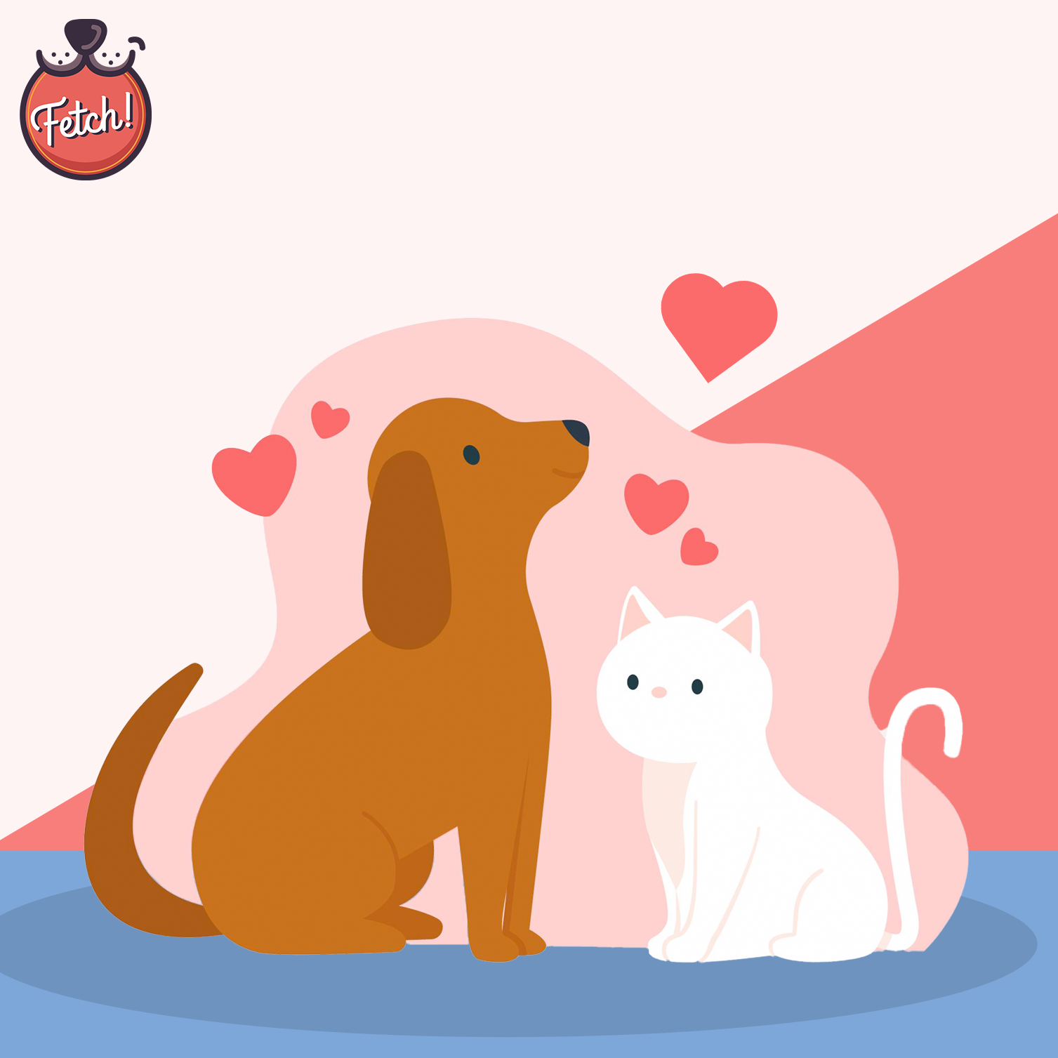 Celebrate Valentine’s Day With Your Fur Baby – Fetch! Naturals